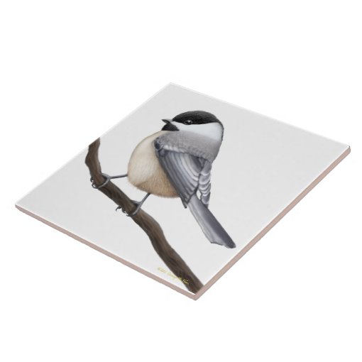 Friendly Black Capped Chickadee Bird Tile | Zazzle