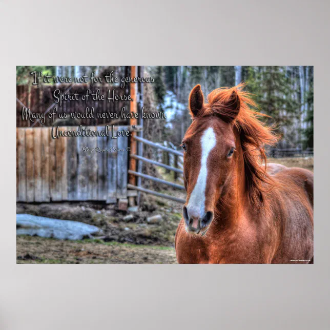 Friendly Dun Ranch Horse Photo & Poem Poster | Zazzle
