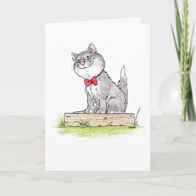Friendly Kitty Card | Zazzle