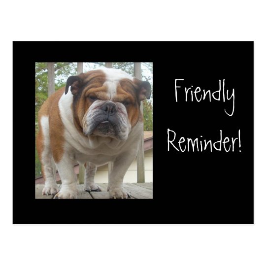 Friendly Reminder English Bulldog Postcards | Zazzle.com