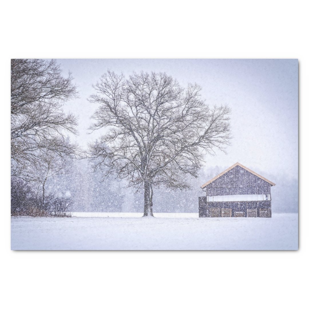 Friends - A Barn and a Tree in Snow Tissue Paper | Zazzle