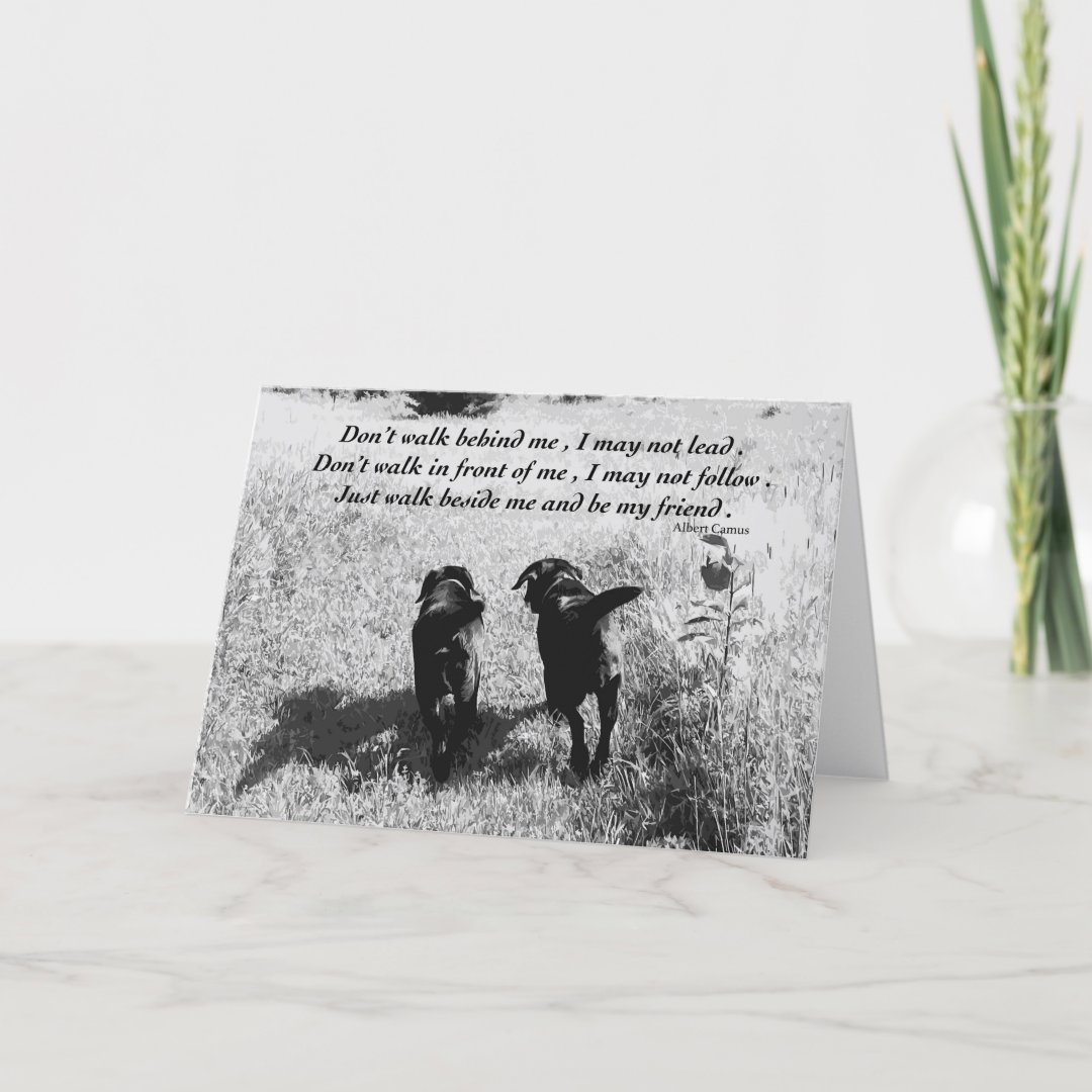 Friends - Black Lab Card | Zazzle