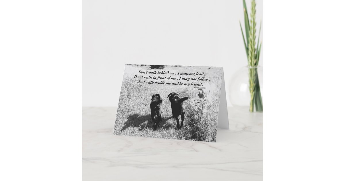Friends - Black Lab Card | Zazzle