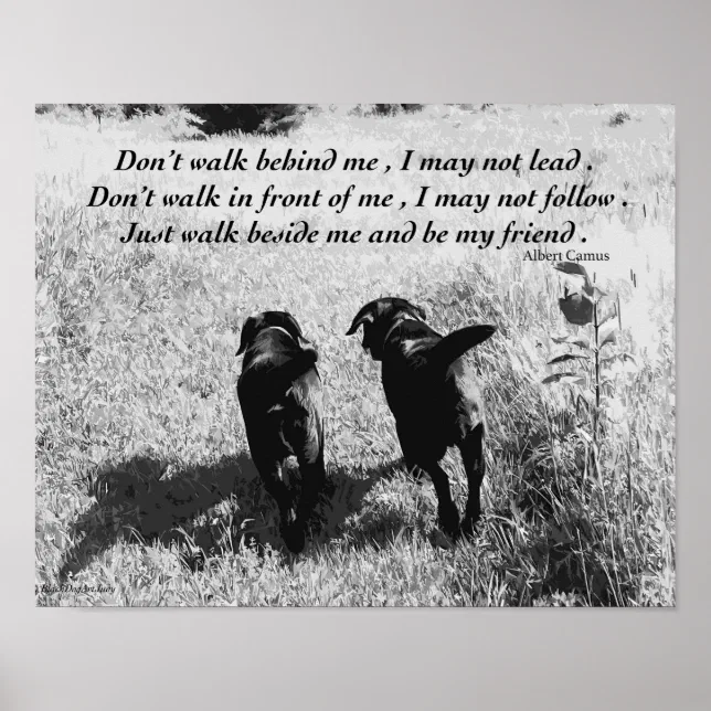 Friends - Black Lab Poster | Zazzle