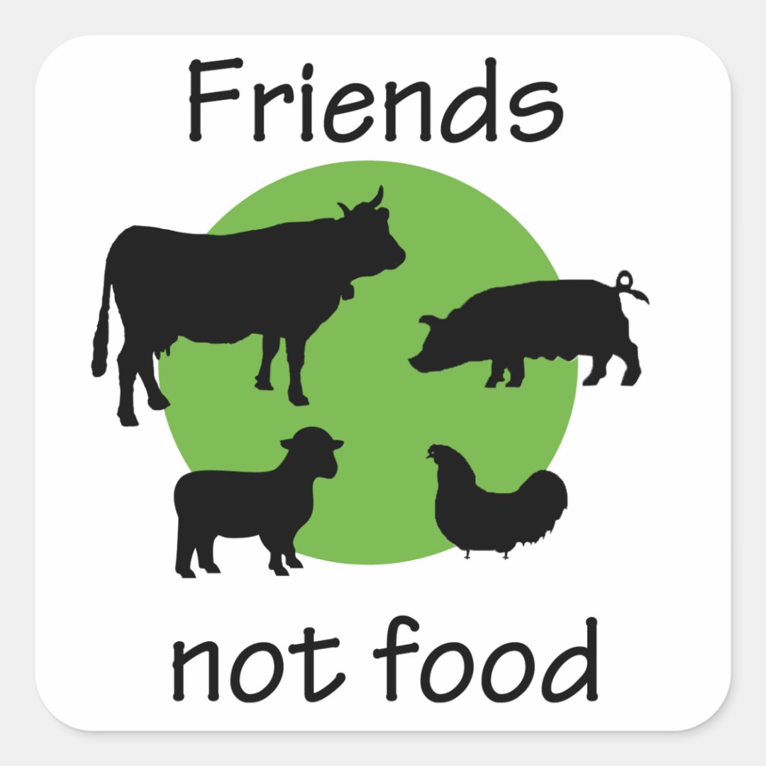 Friends, Not Food Square Sticker | Zazzle