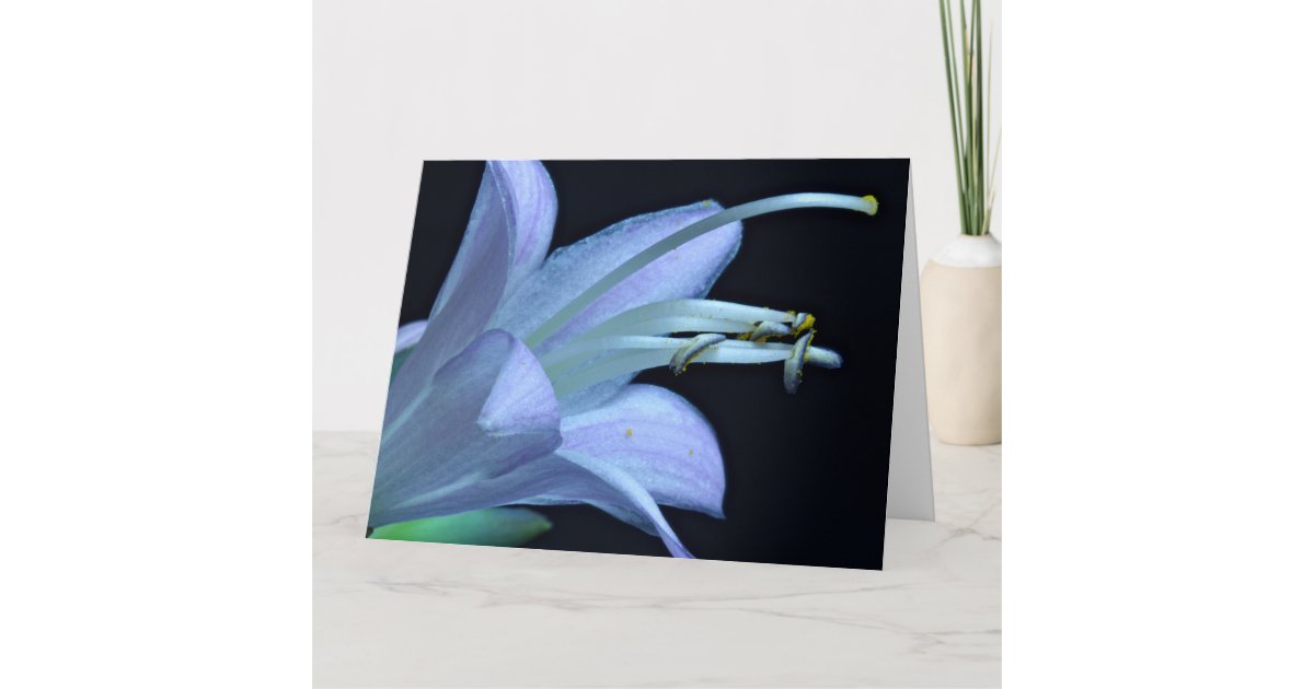 Friendship - Beautiful Macro Hosta Flower Photo Card | Zazzle