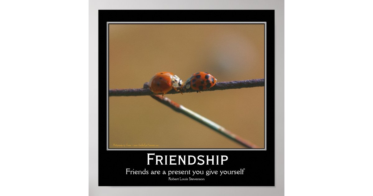 Friendship Ladybugs Inspirational Quote Poster | Zazzle