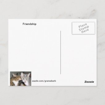 Friendship Postcard | Zazzle