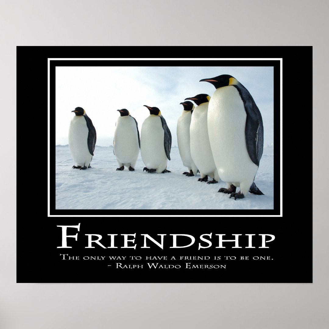 Friendship Poster | Zazzle