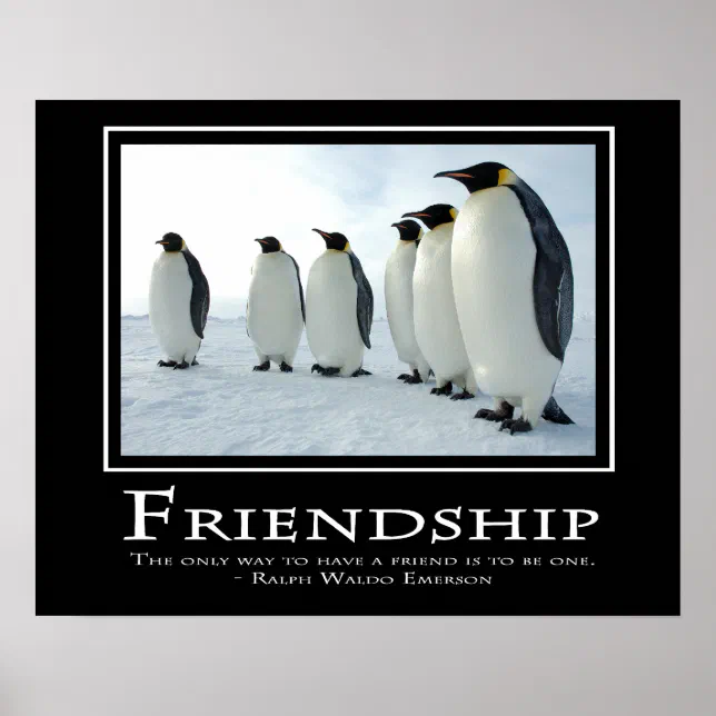 Friendship Poster | Zazzle