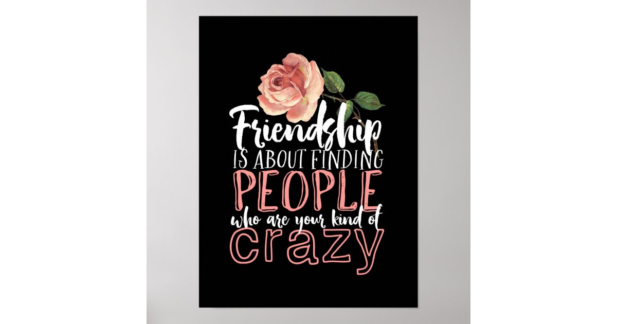 Friendship Quote Cool Crazy Best Friends Poster | Zazzle