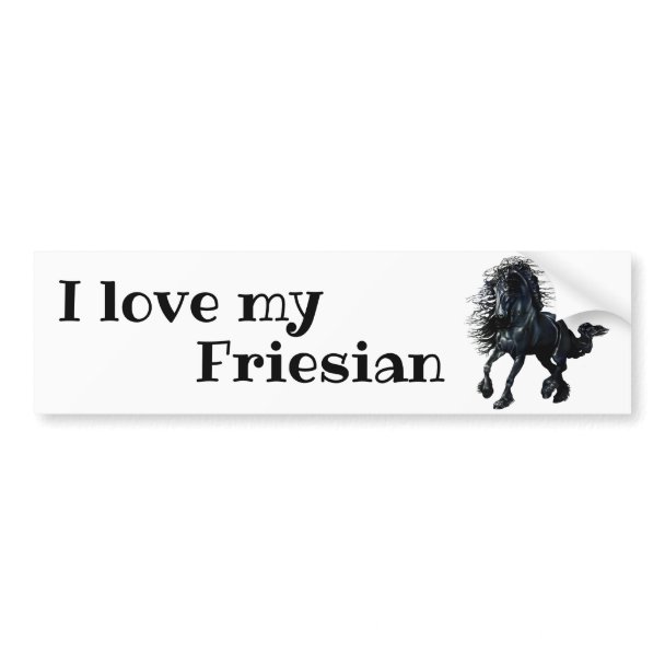 Friesian stallion/black beauty horse, bright red fabric | Zazzle