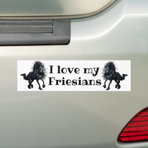 Friesian, black stallion, I love my Friesians Bumper Sticker | Zazzle