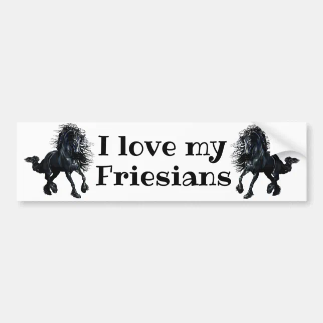 Friesian, black stallion, I love my Friesians Bumper Sticker | Zazzle