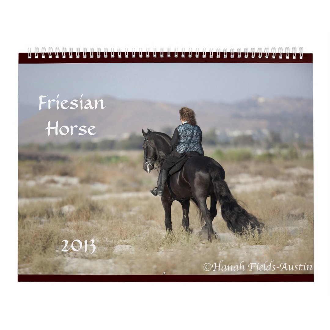 Friesian Horse Calendar 2013 Colossal | Zazzle