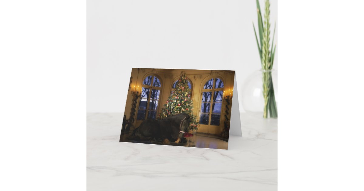 Friesian Mare Christmas Card | Zazzle