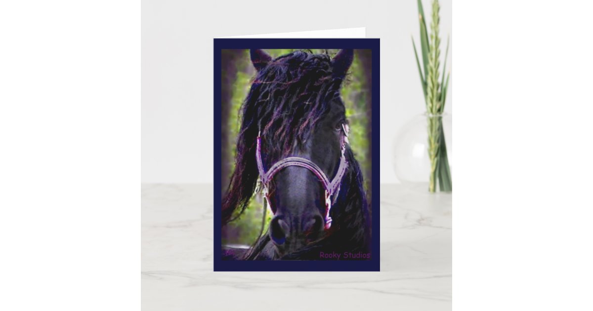 Friesian Stallion Card | Zazzle