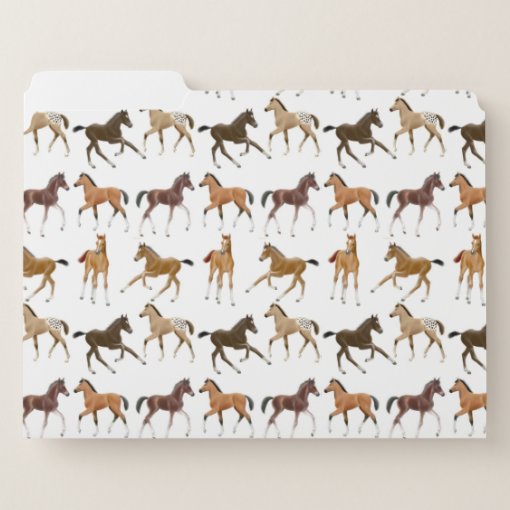 Frisky Horse Foals File Folders | Zazzle