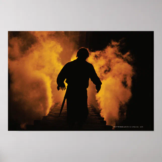 FRODO™ at Mount Doom Poster | Zazzle
