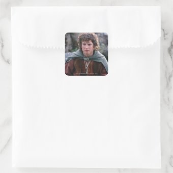 FRODO™ SQUARE STICKER | Zazzle