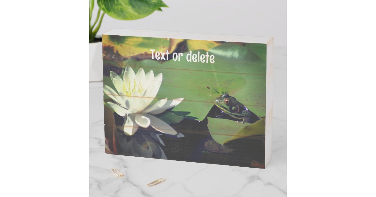 Frog Admiring Lotus Water Lily Personalized Wooden Box Sign | Zazzle