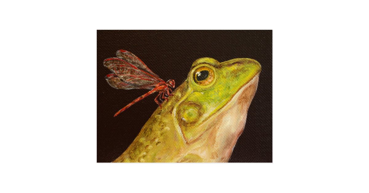 Frog and dragonfly postcard | Zazzle.com