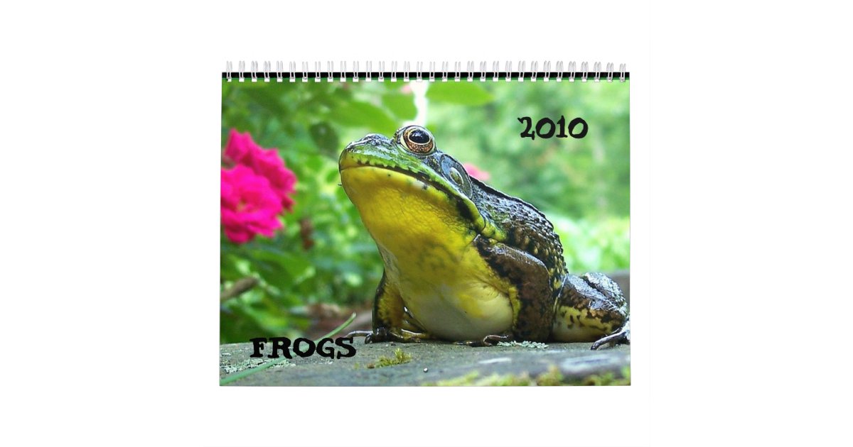 Frog Calendar | Zazzle