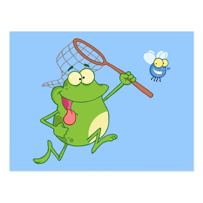 Frog Chasing Fly With Net Postcard | Zazzle.com