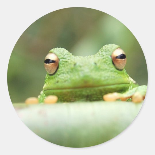Frog Eyes Sticker | Zazzle.com
