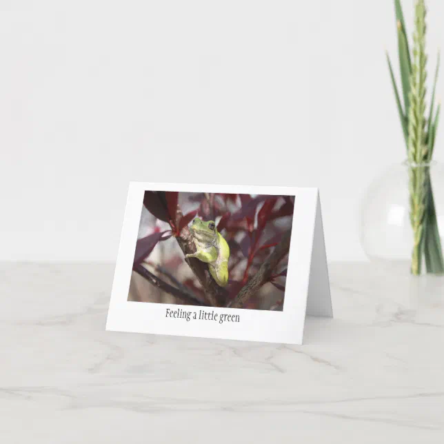 Frog Get Well Card | Zazzle