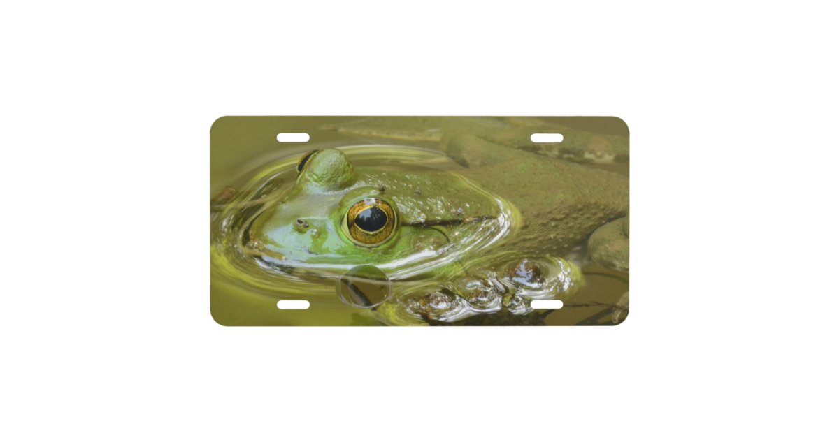 Frog License Plate Frog Vanity Plate | Zazzle