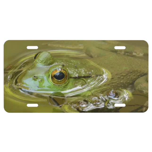 Frog License Plate Frog Vanity Plate | Zazzle