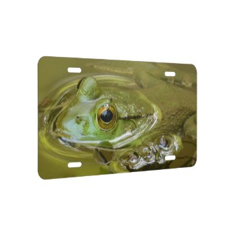 Frog License Plate Frog Vanity Plate | Zazzle