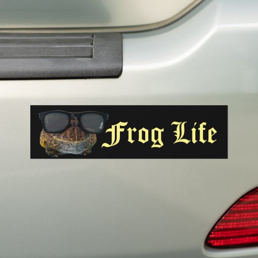 Frog Life Bumper Sticker | Zazzle