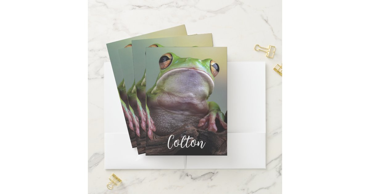 Frog Pocket Folder | Zazzle