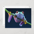 Frog Postcard | Zazzle