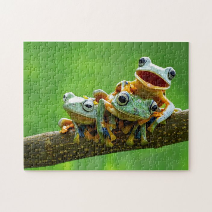 Frog Siblings, Jigsaw Puzzle | Zazzle.com