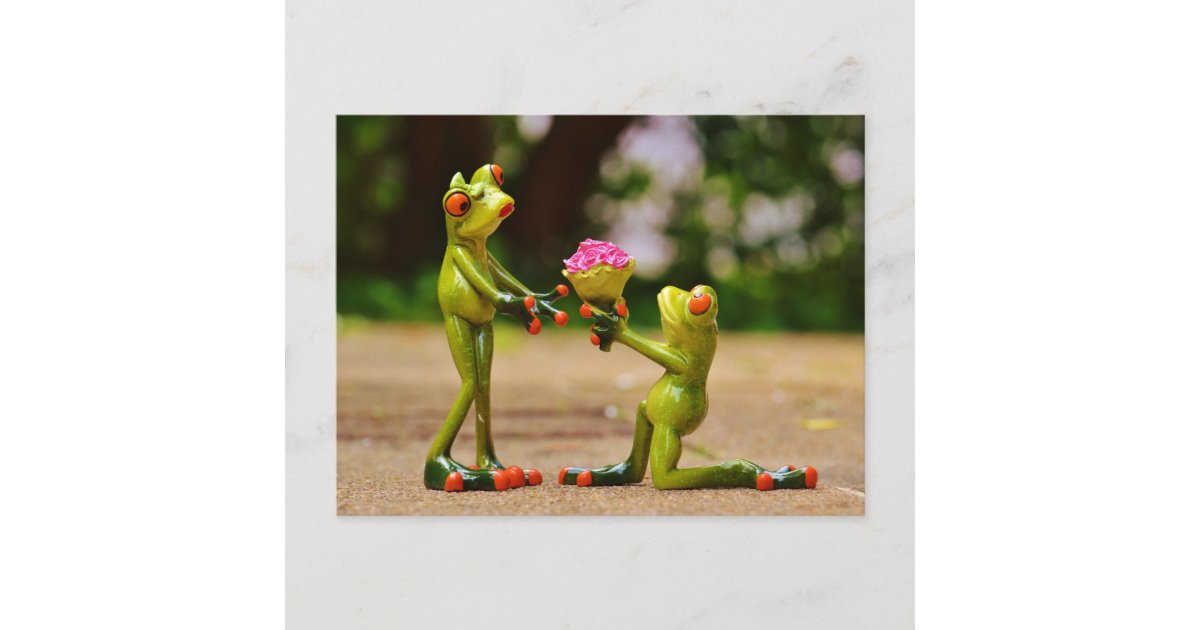 Frog Wedding Proposal Announcement Postcard | Zazzle