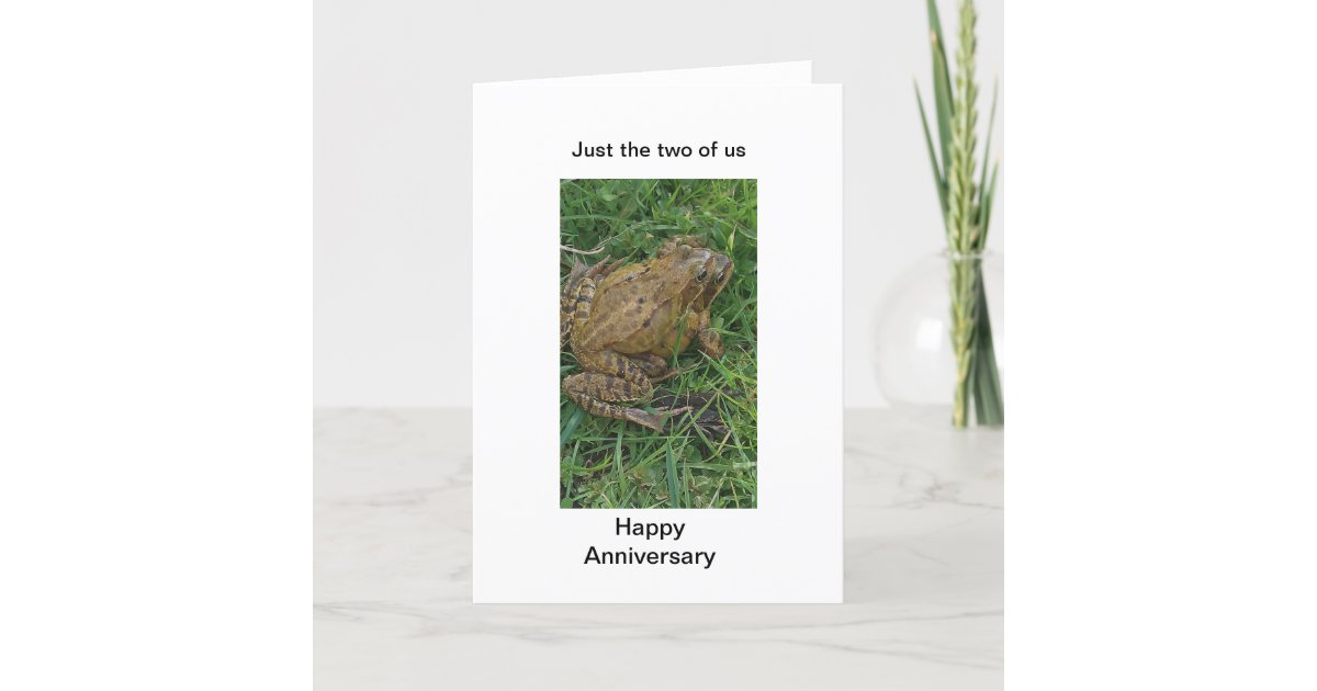 Frogs Happy Anniversary Card | Zazzle.com