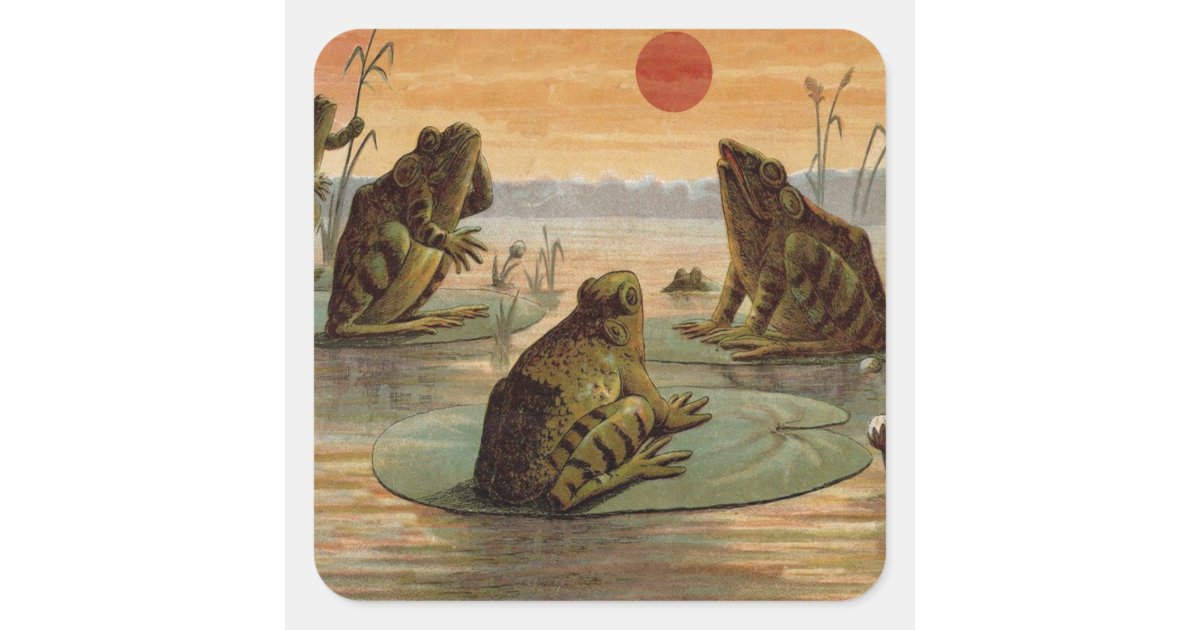 Frogs Lily Pads Moon Illustration Square Sticker | Zazzle