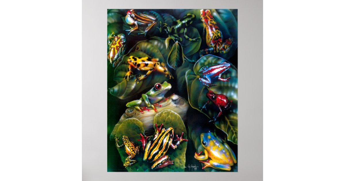 Frogs Poster | Zazzle