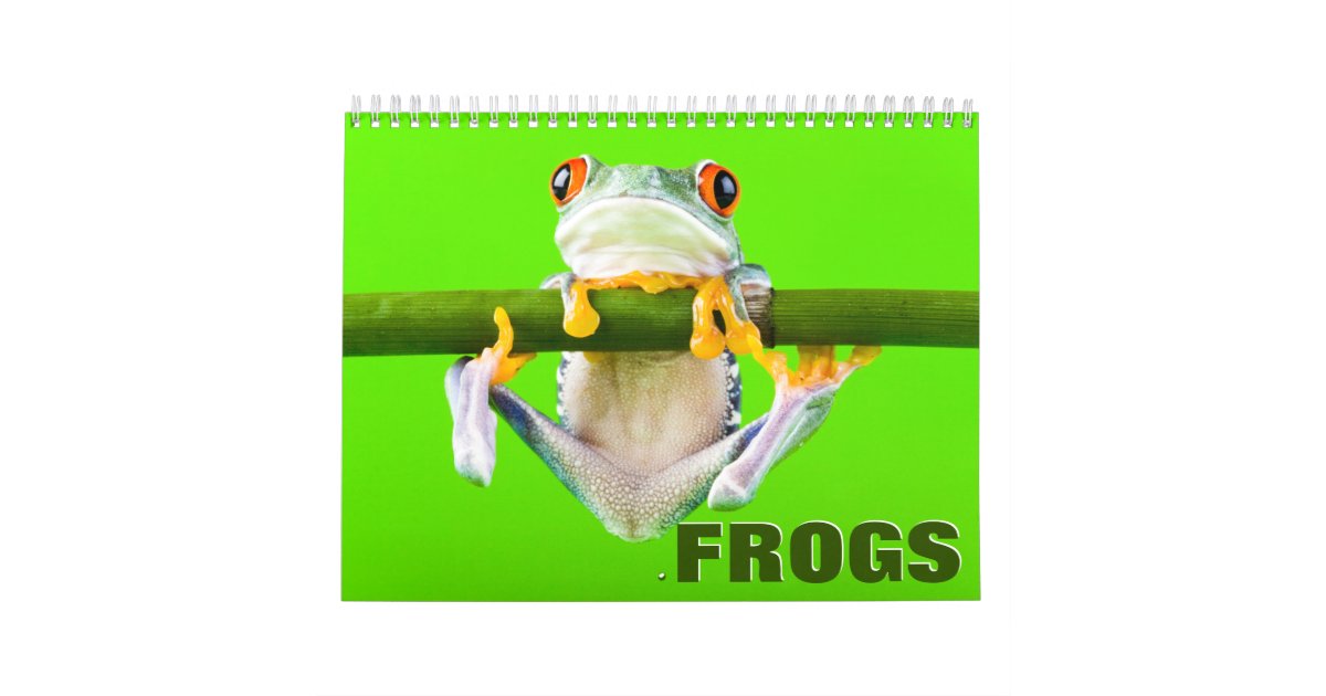 Frogs Wall Calendar | Zazzle