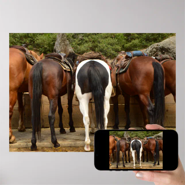 From Behind Poster | Zazzle