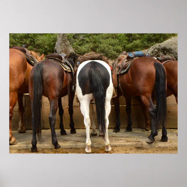 From Behind Poster | Zazzle
