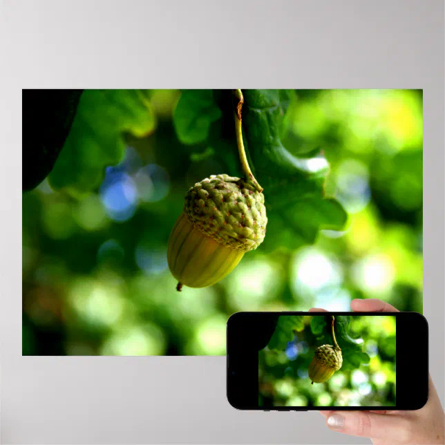 From little acorns grow mighty oaks poster | Zazzle