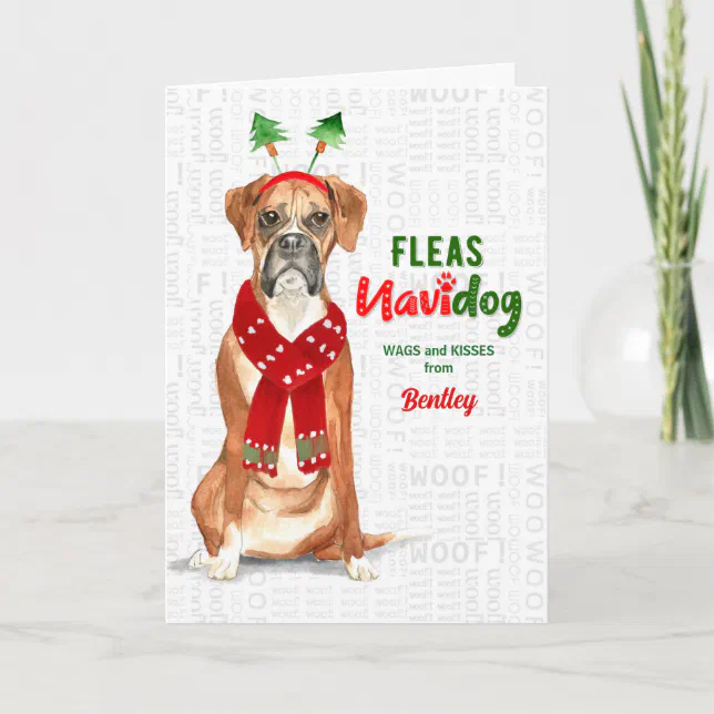 from the Dog Funny Boxer Christmas Holiday Card | Zazzle