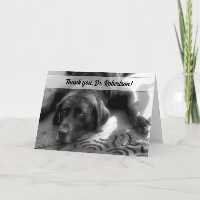from the Dog Labrador Retriever Veterinary Thank You Card | Zazzle
