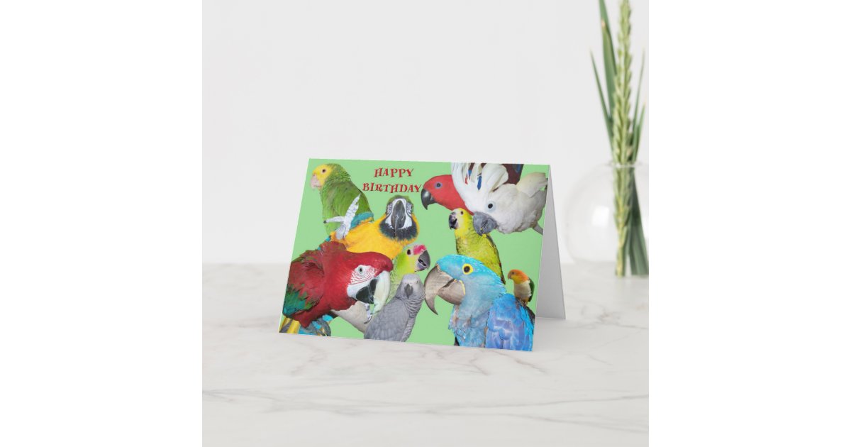 From the Flock Birthday Card | Zazzle