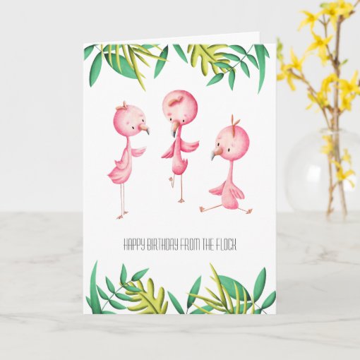 From the Flock Flamingo Tropical Birthday Card | Zazzle