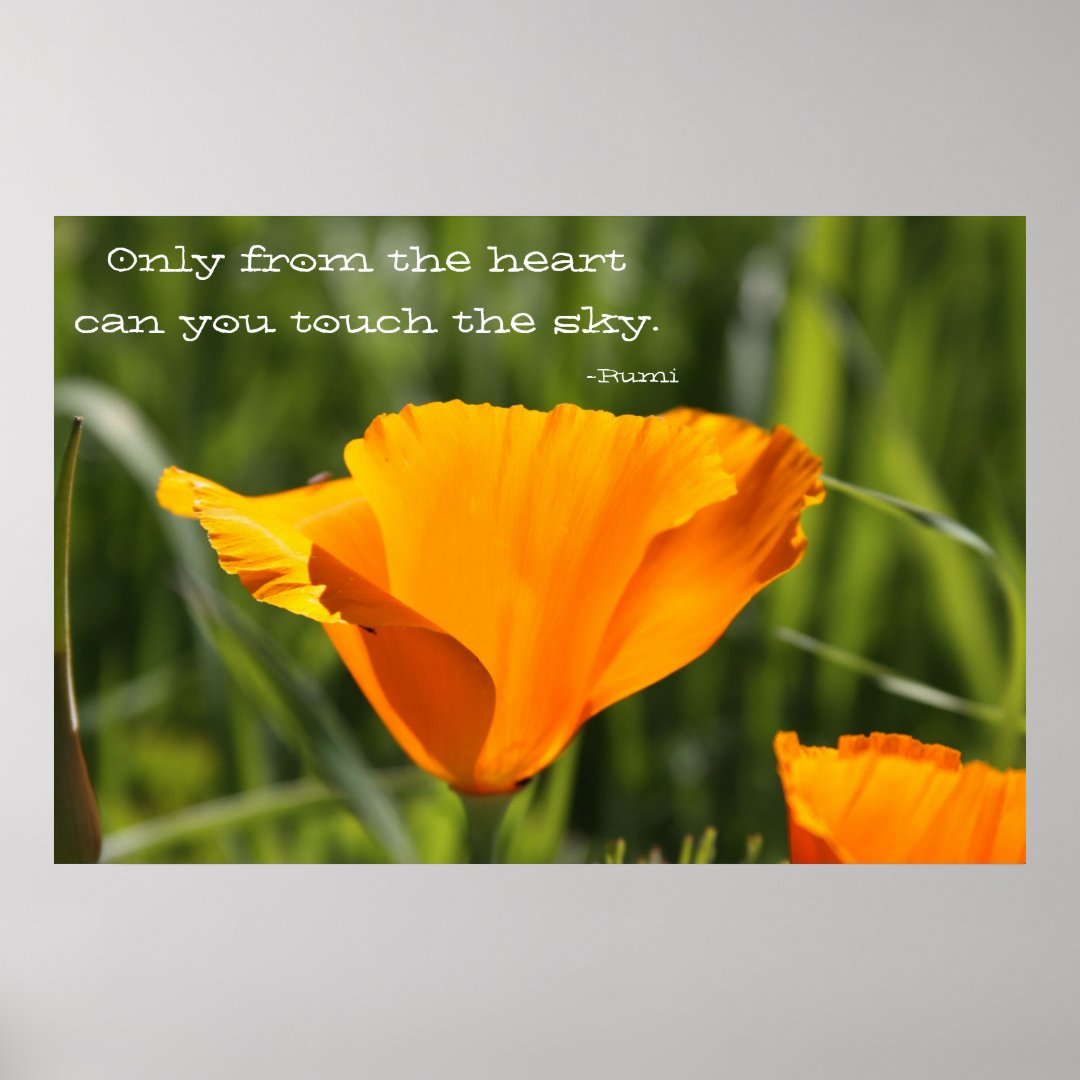 From the Heart Poster | Zazzle